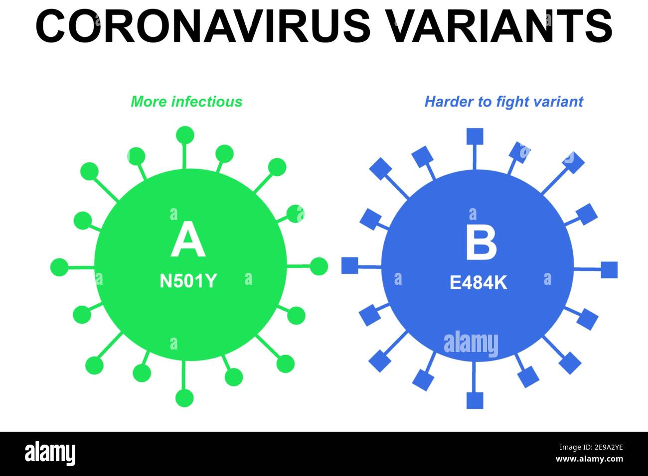 Genetic variants hi-res stock photography and images - Alamy