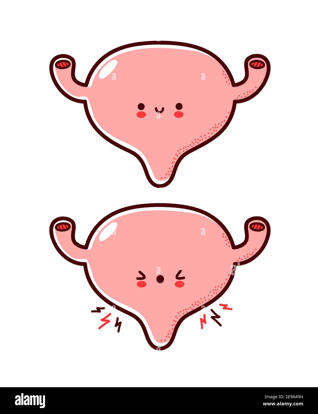 Cute healthy and sick sad funny human bladder organ character. Vector ...