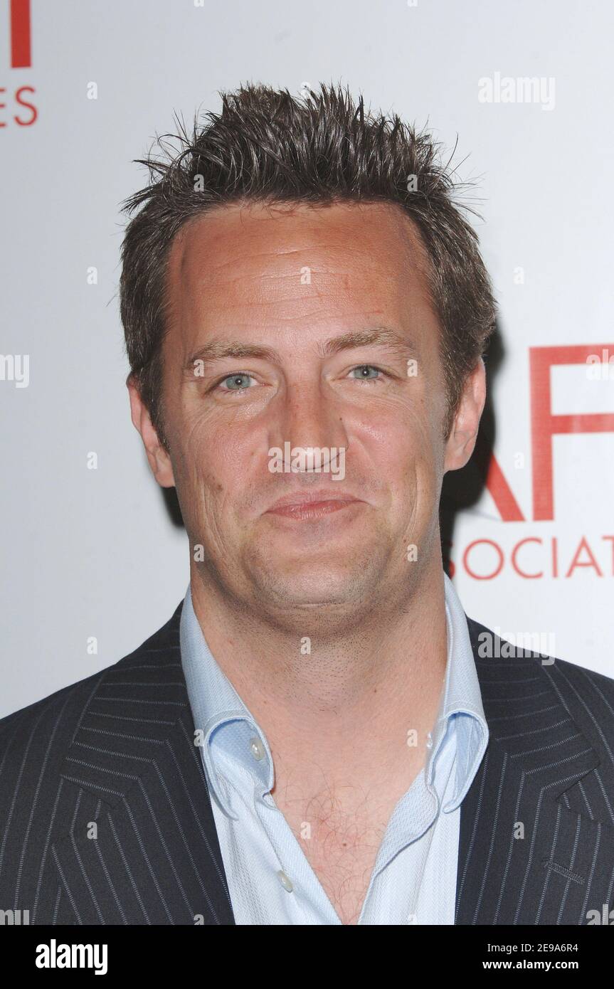 Matthew Perry attends the AFI Associates 6th Annual Platinum Circle ...