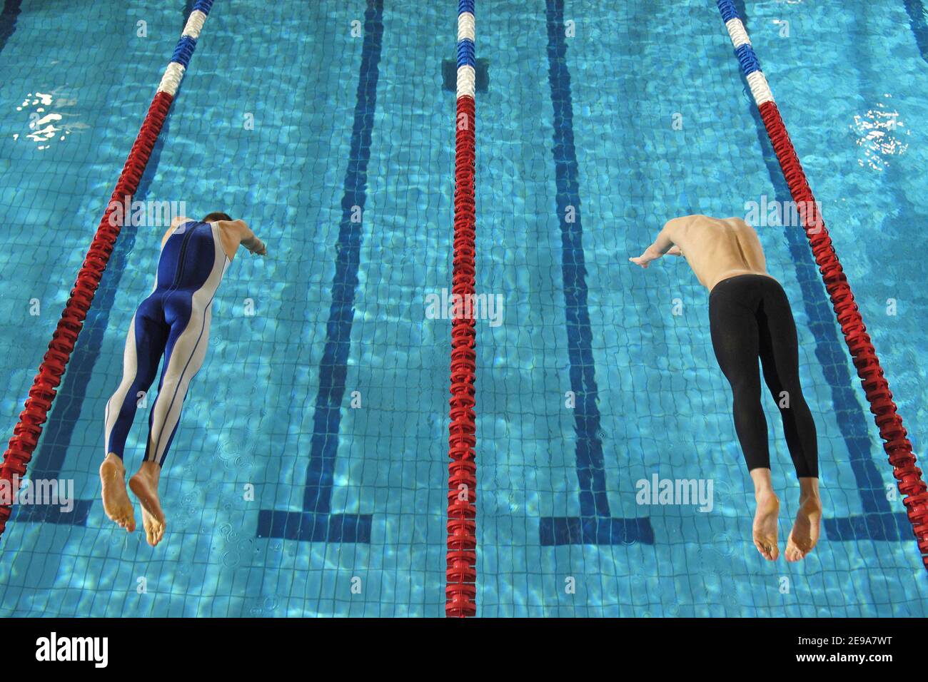 100 meters butterfly hi-res stock photography and images - Alamy