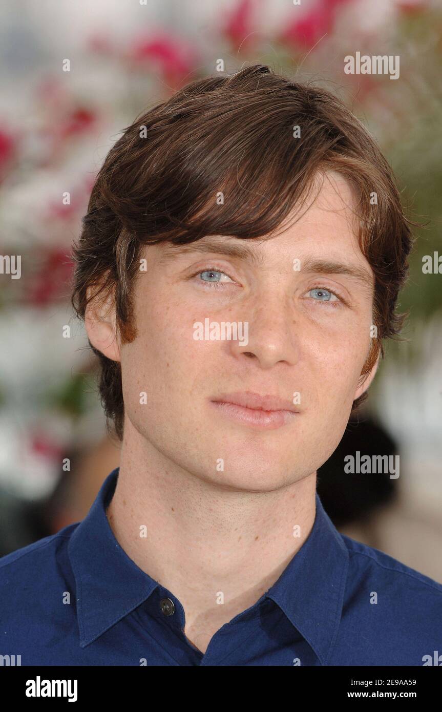 Cillian Murphy poses for the photocall of Ken Loach's film 'The wind ...
