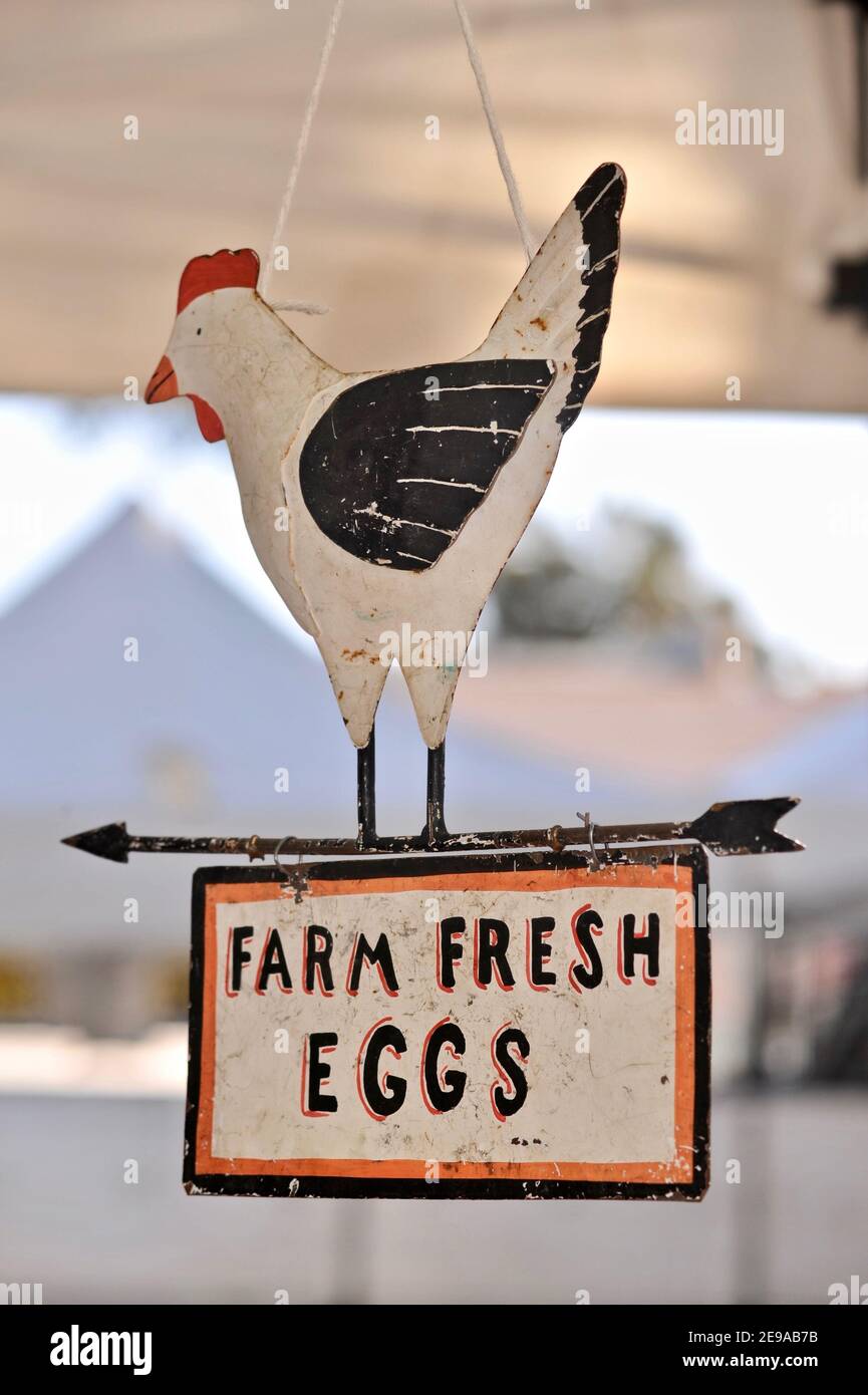Chicken farm usa hi-res stock photography and images - Alamy
