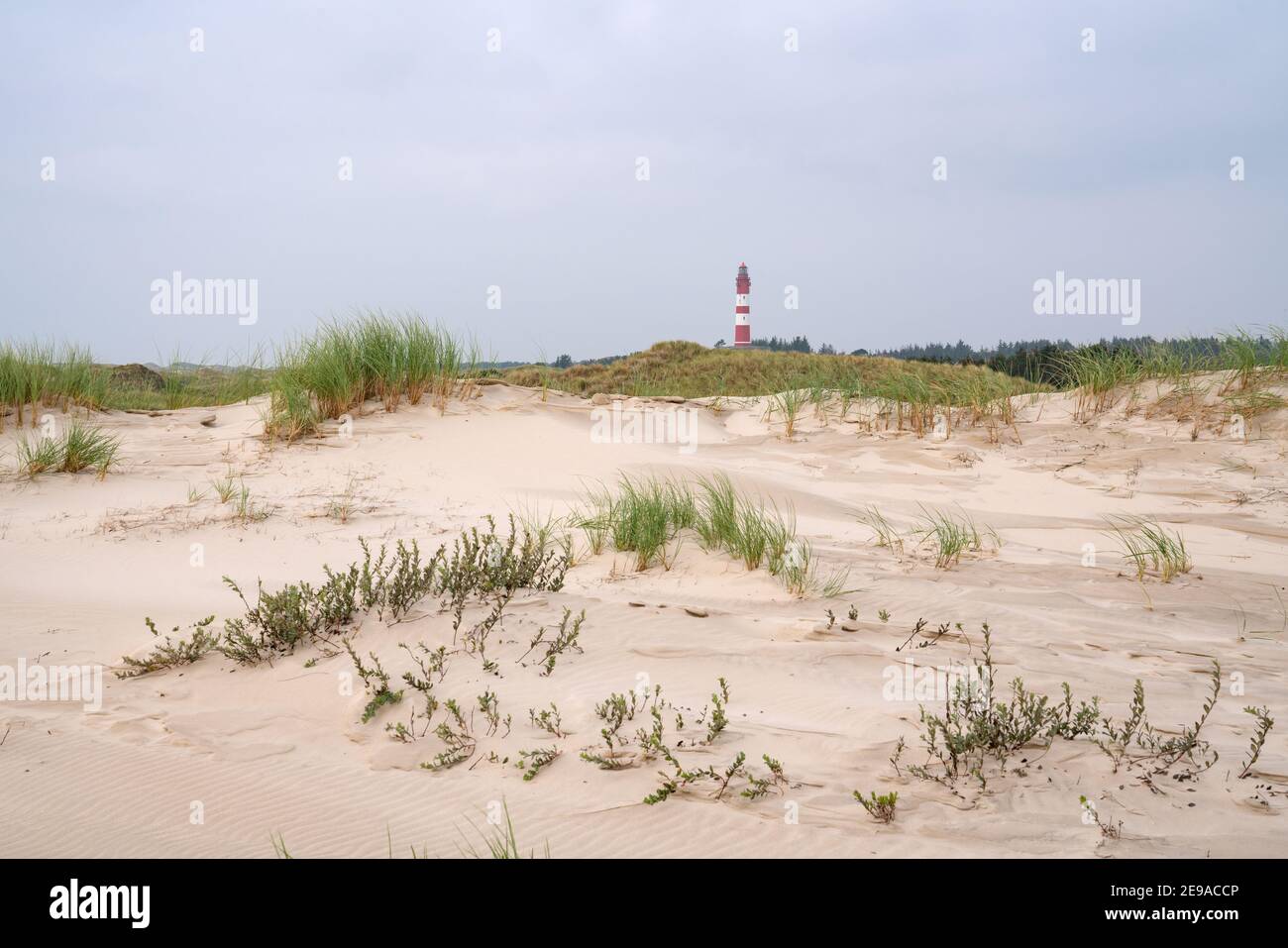 Amrum germany landscape hi-res stock photography and images - Alamy