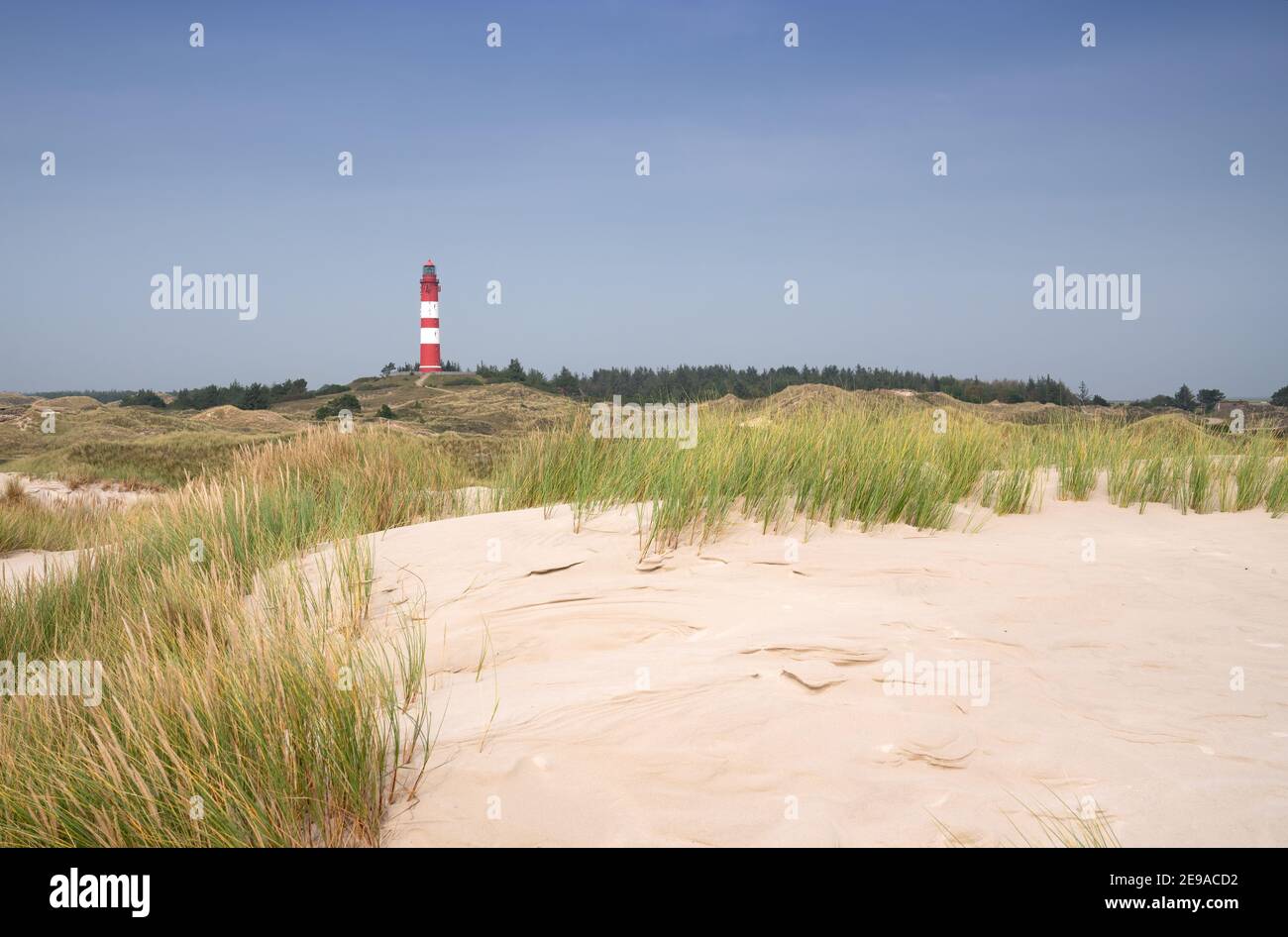 Panoramic image of the dunes of Amrum with the lighthouse, Germany ...