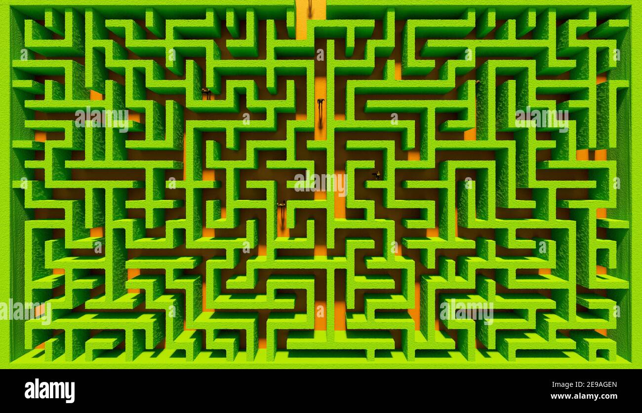 zenithal view of a bush maze with people lost in it. 3d illustration ...