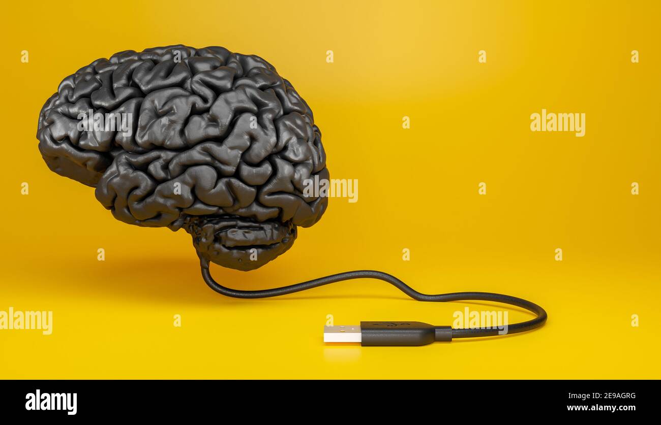 representation of a human brain made of dark material with usb cable ...