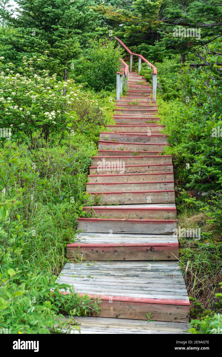 Crooked stairs hi-res stock photography and images - Alamy