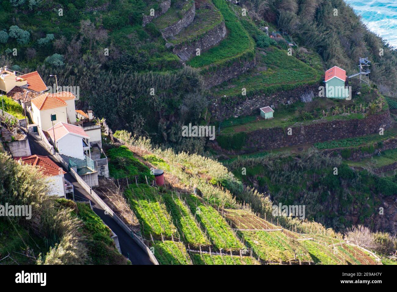 Terrace Gardens in Madeira Stock Photo - Alamy