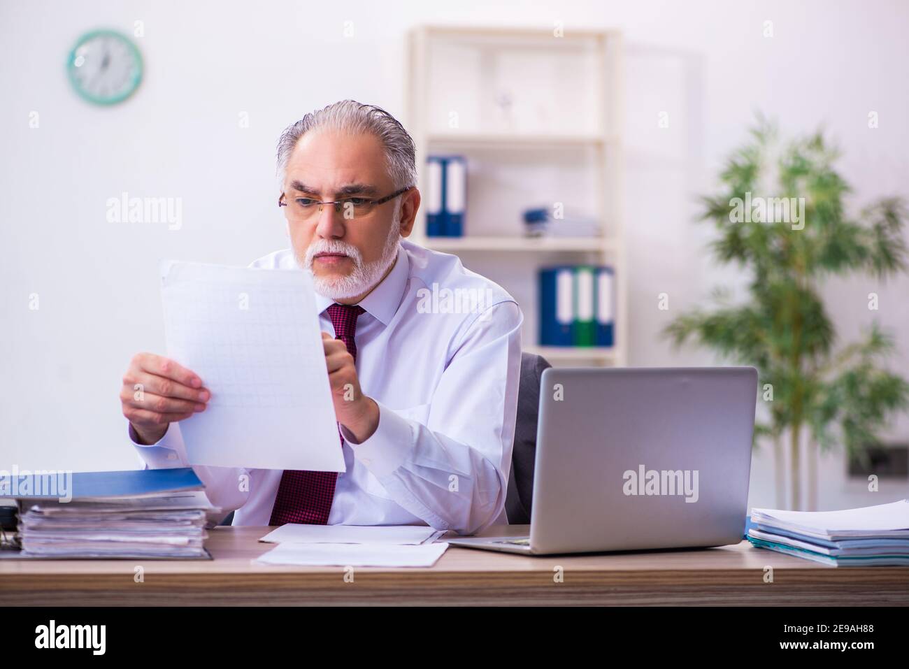 Old employee working in the office Stock Photo - Alamy