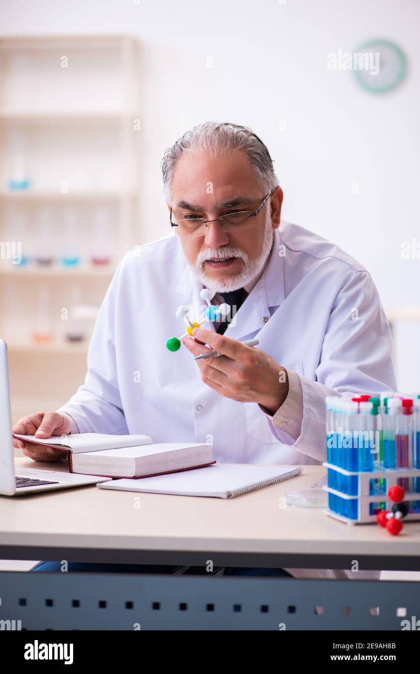 Senior male scientist studying molecular model Stock Photo - Alamy