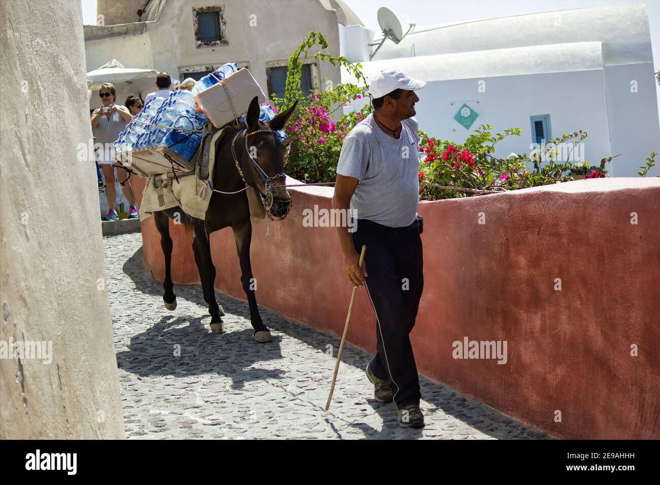 Donkey carrying goods hi-res stock photography and images - Alamy