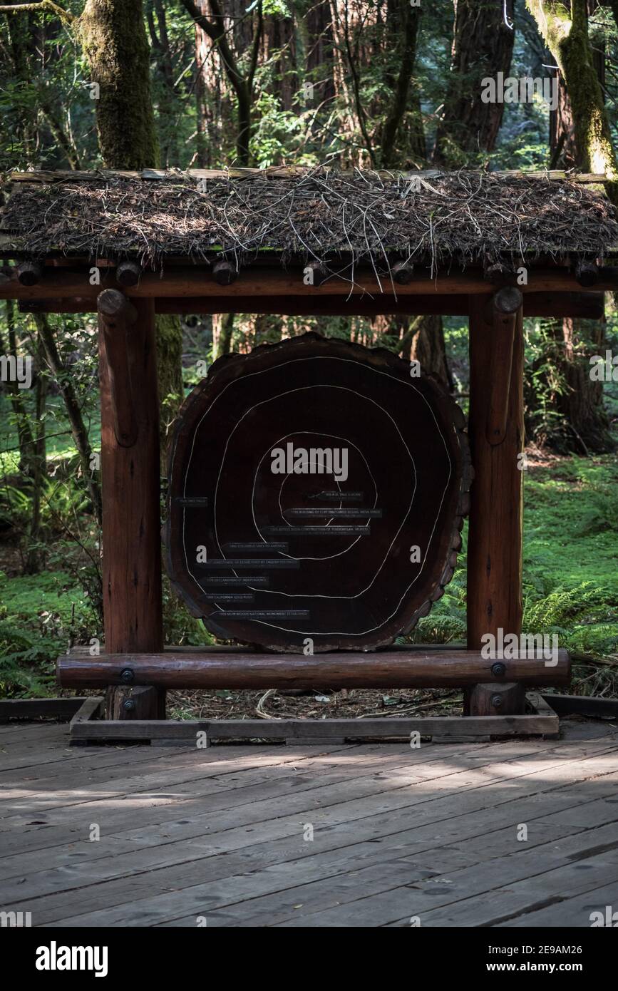 Old wooden writing trunk hi-res stock photography and images - Alamy