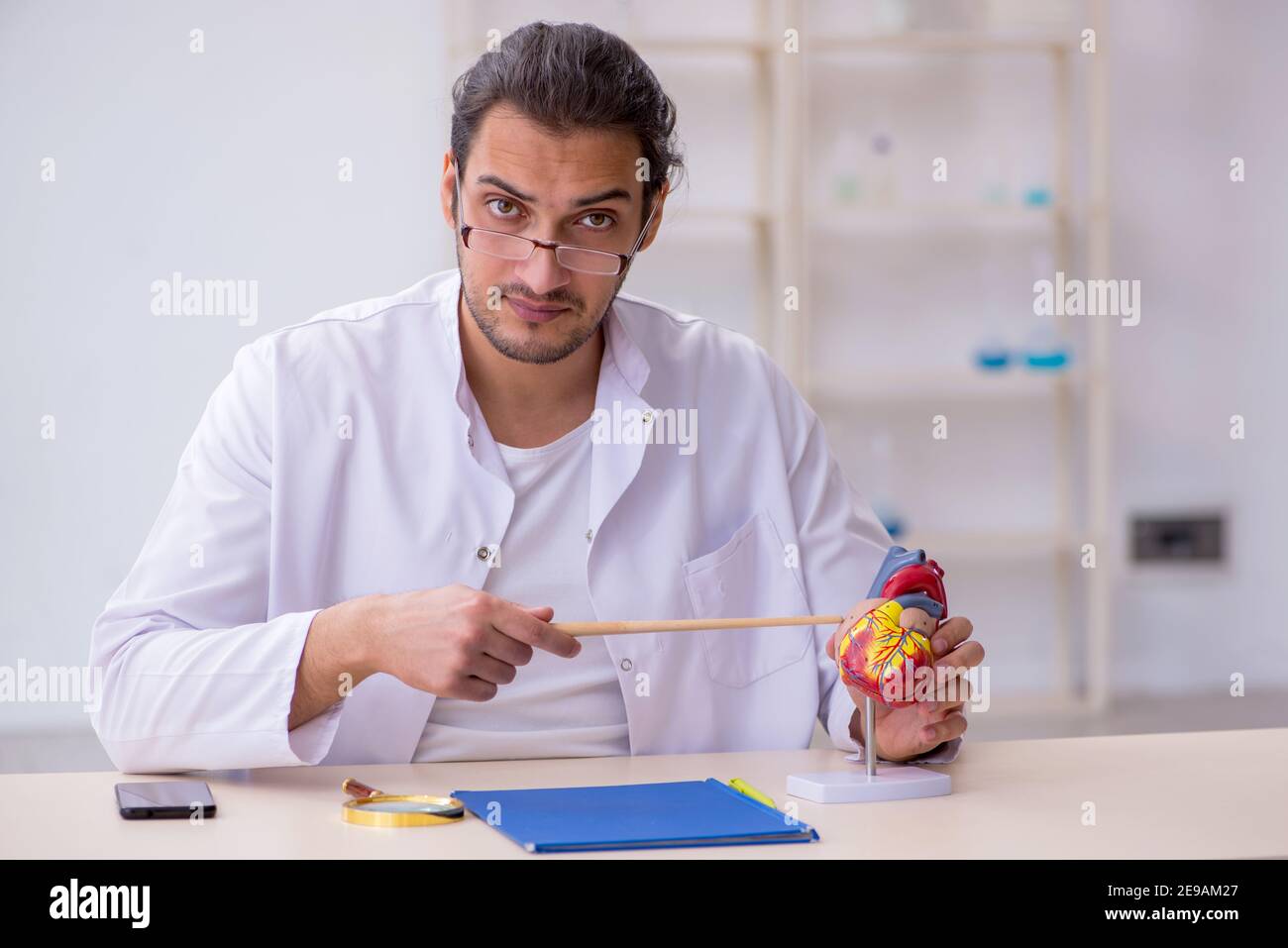 Young cardiologist explaining human heart structure Stock Photo - Alamy