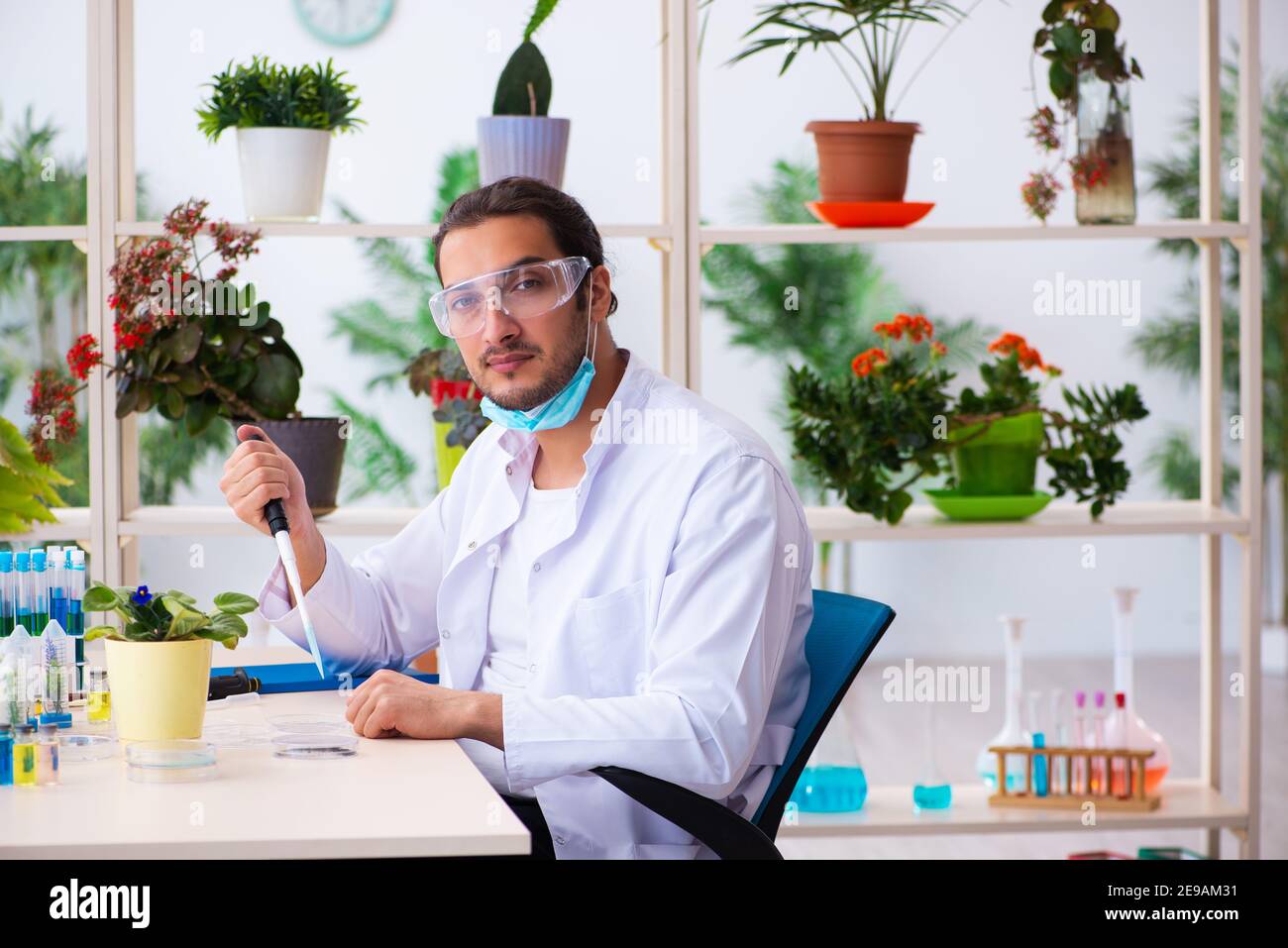 Young chemist perfumer working in the lab Stock Photo - Alamy