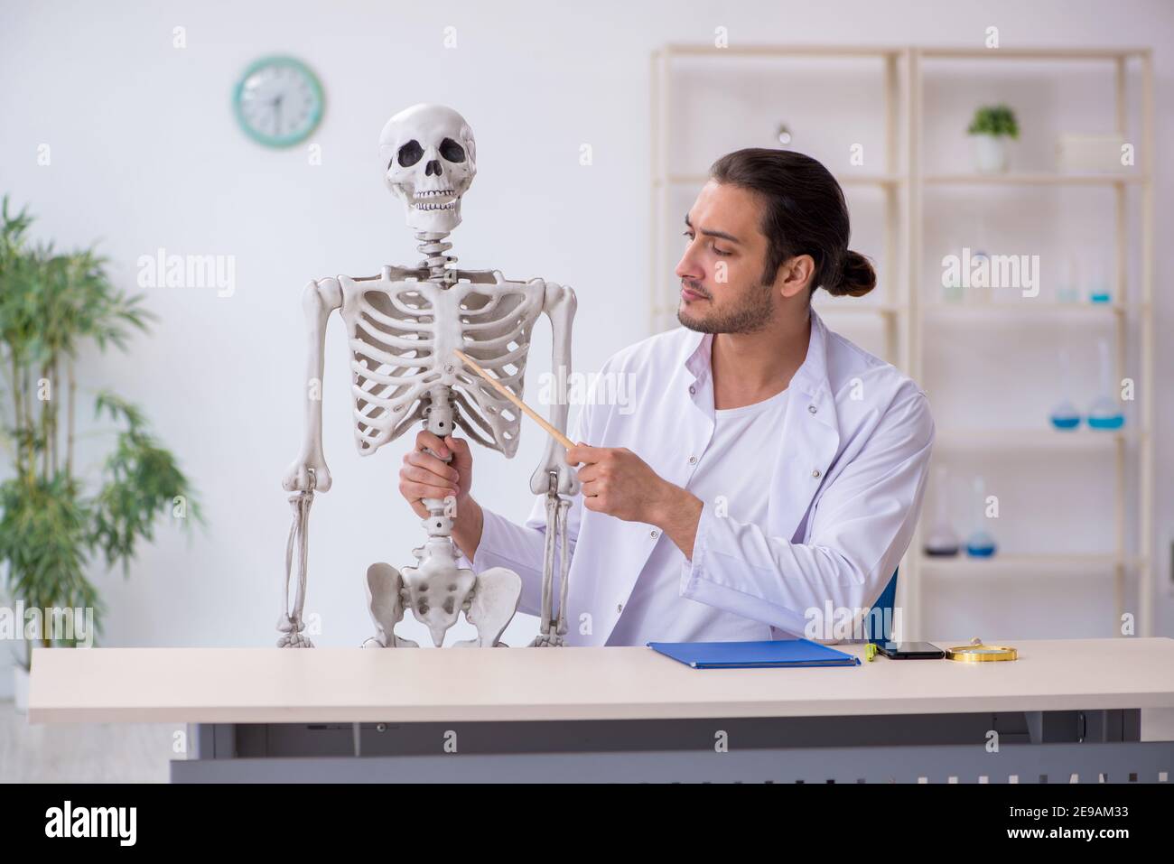 Young doctor demonstrating human skeleton Stock Photo - Alamy