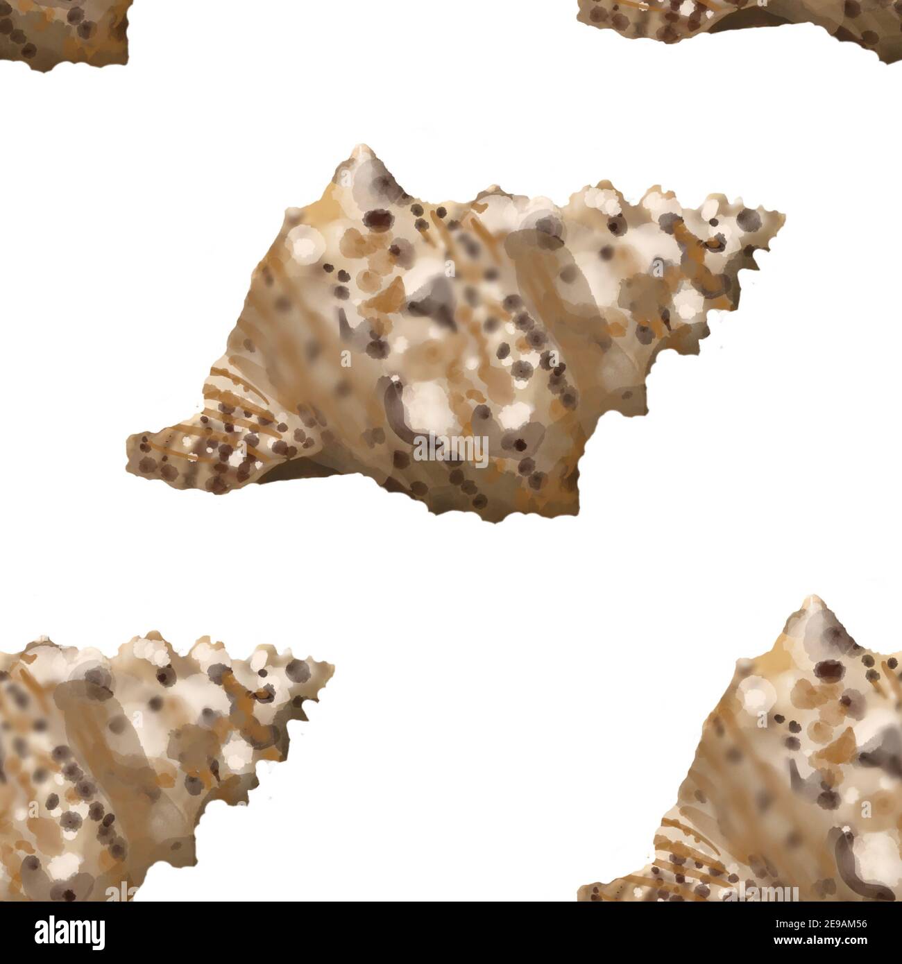 Pattern seashell on background. high quality watercolor illustration ...