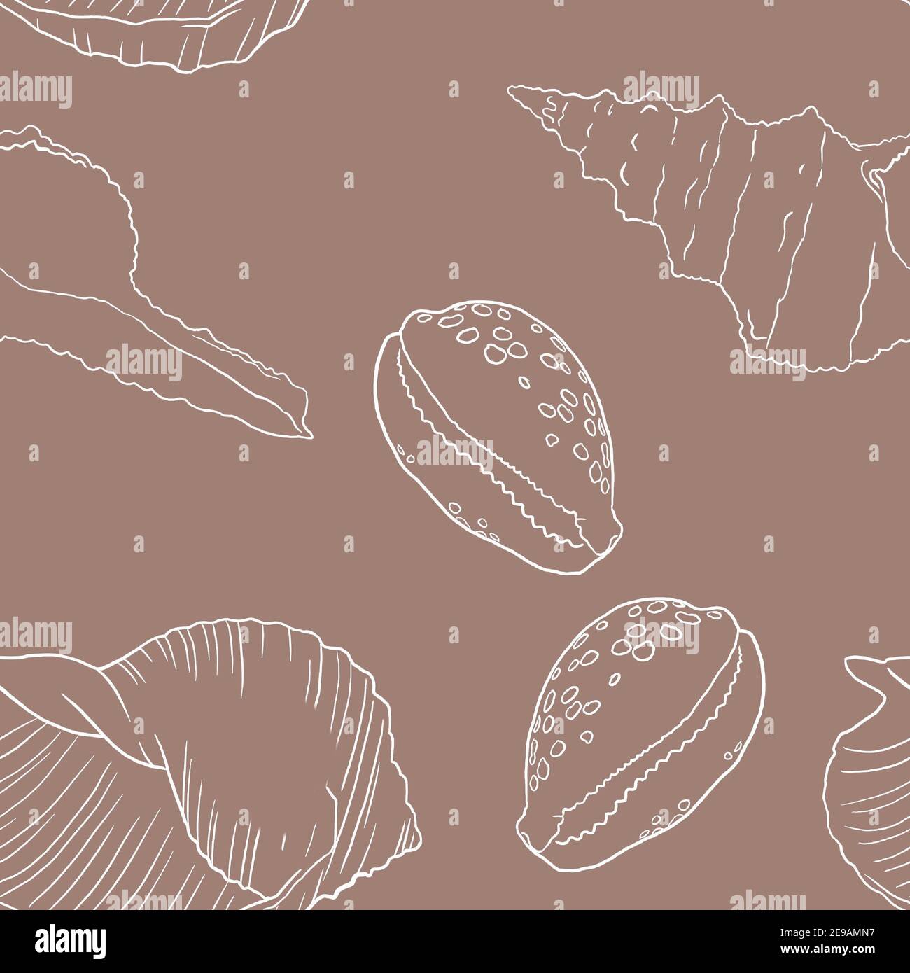 Pattern seashell on background. high quality watercolor illustration ...