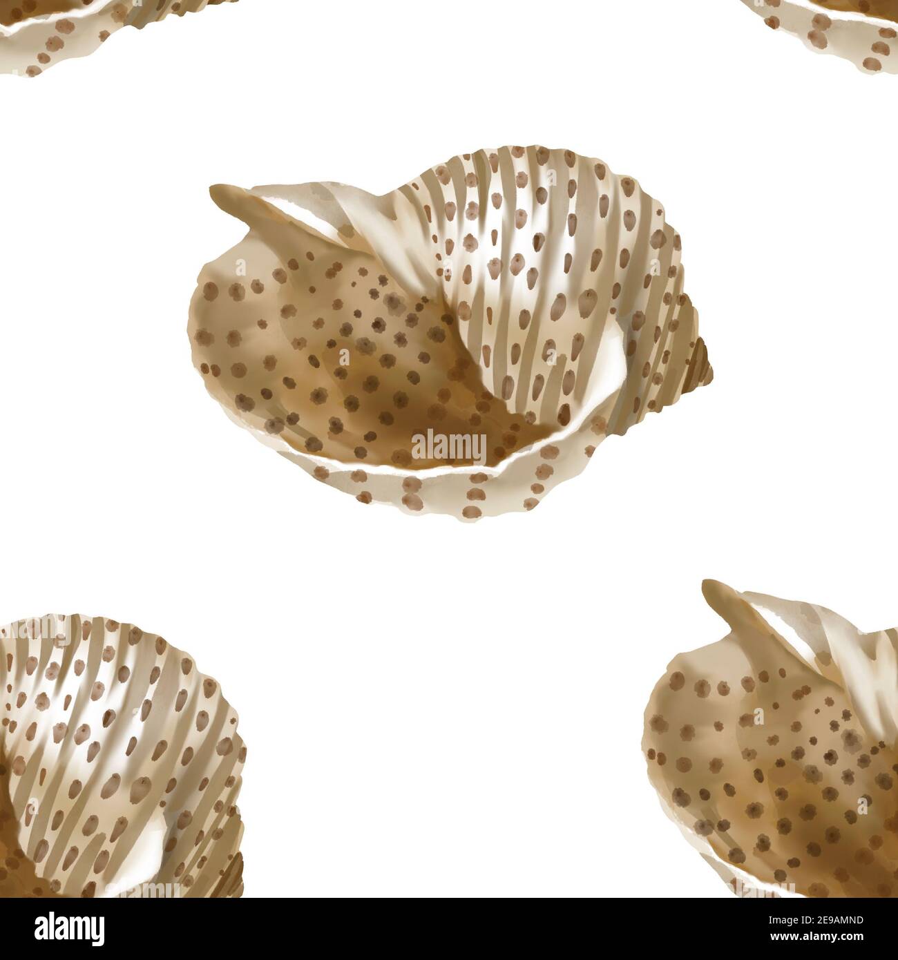 Pattern seashell on background. high quality watercolor illustration ...
