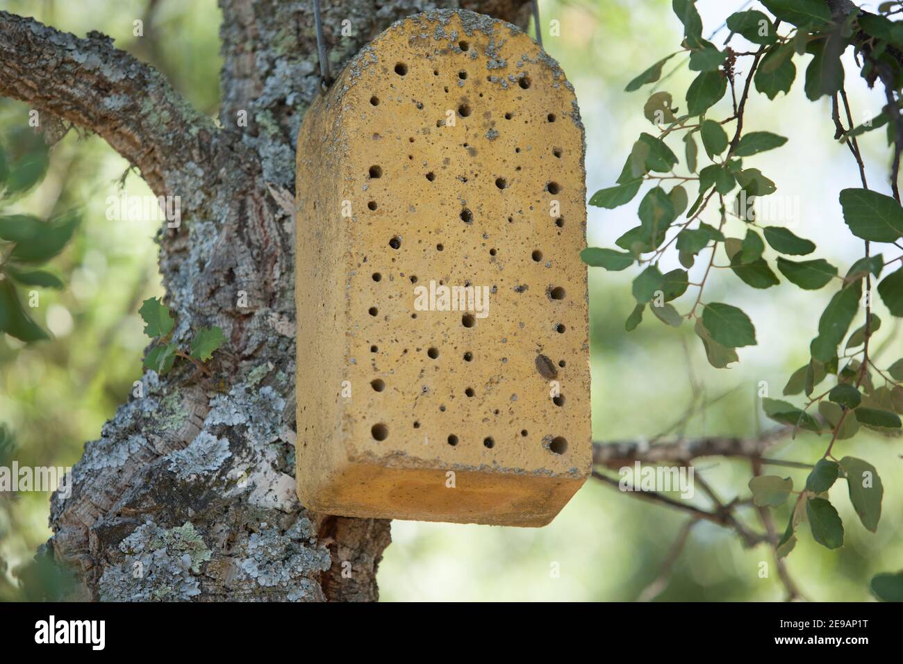 Bug house hi-res stock photography and images - Alamy
