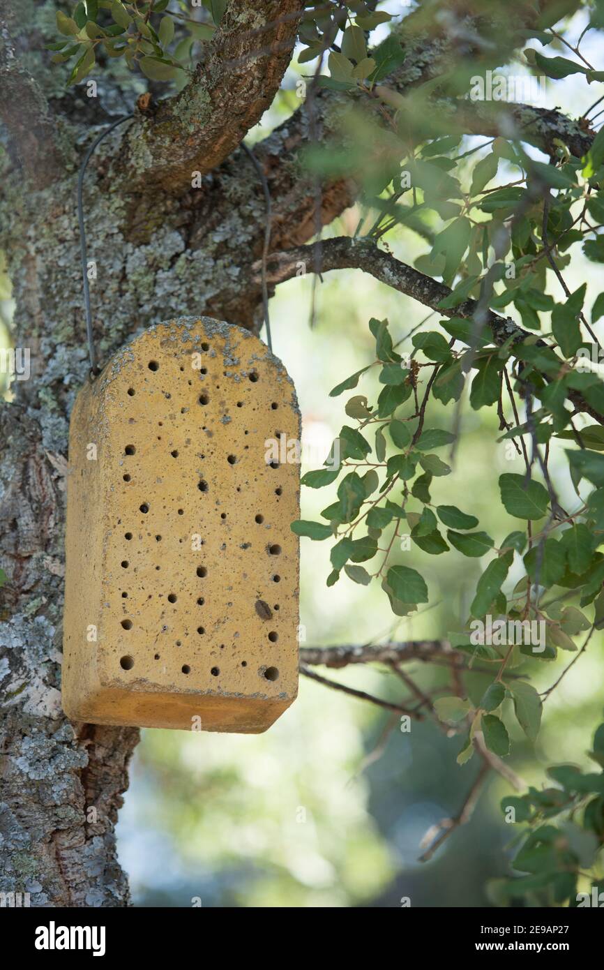 Concrete bug house. A concrete insect hotel hanging on tree Stock Photo ...