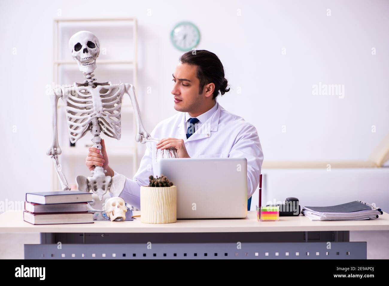 Young doctor studying human skeleton Stock Photo - Alamy