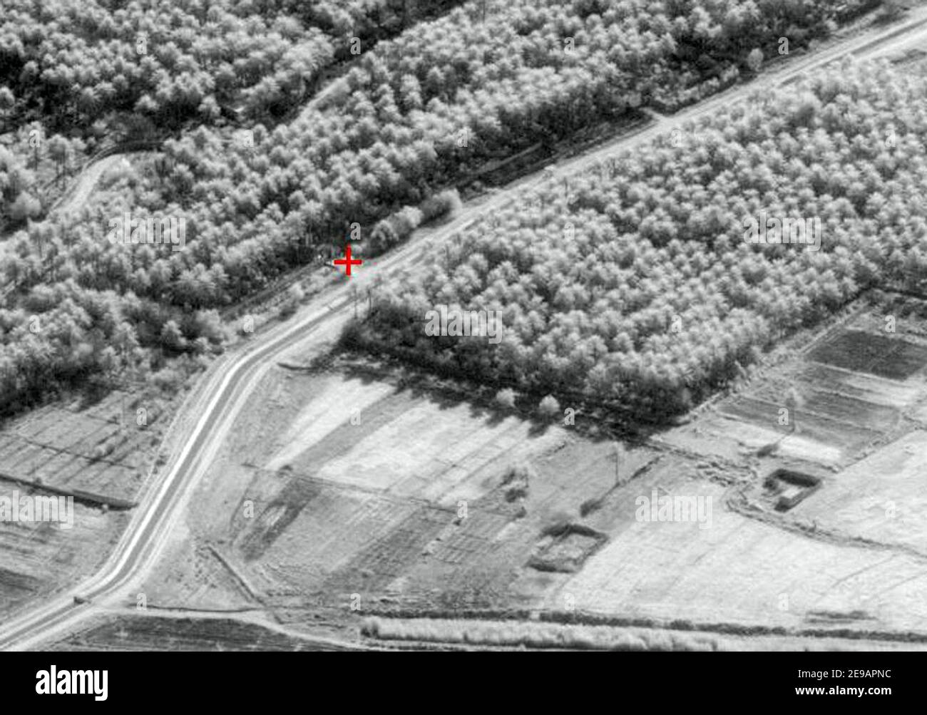 Al zarqawi hi-res stock photography and images - Alamy