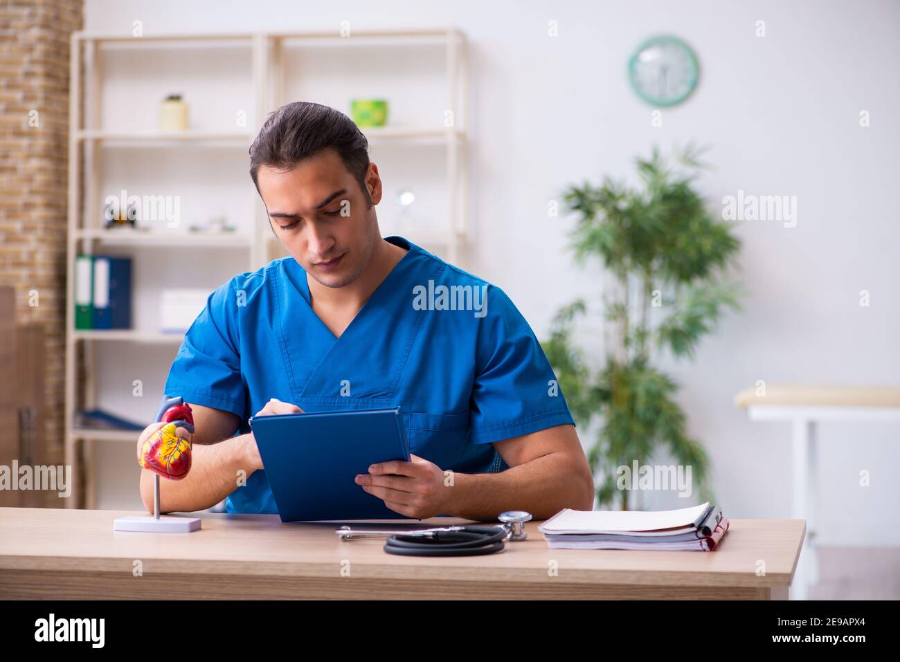 Male doctor cardiologist explaining heart model Stock Photo - Alamy