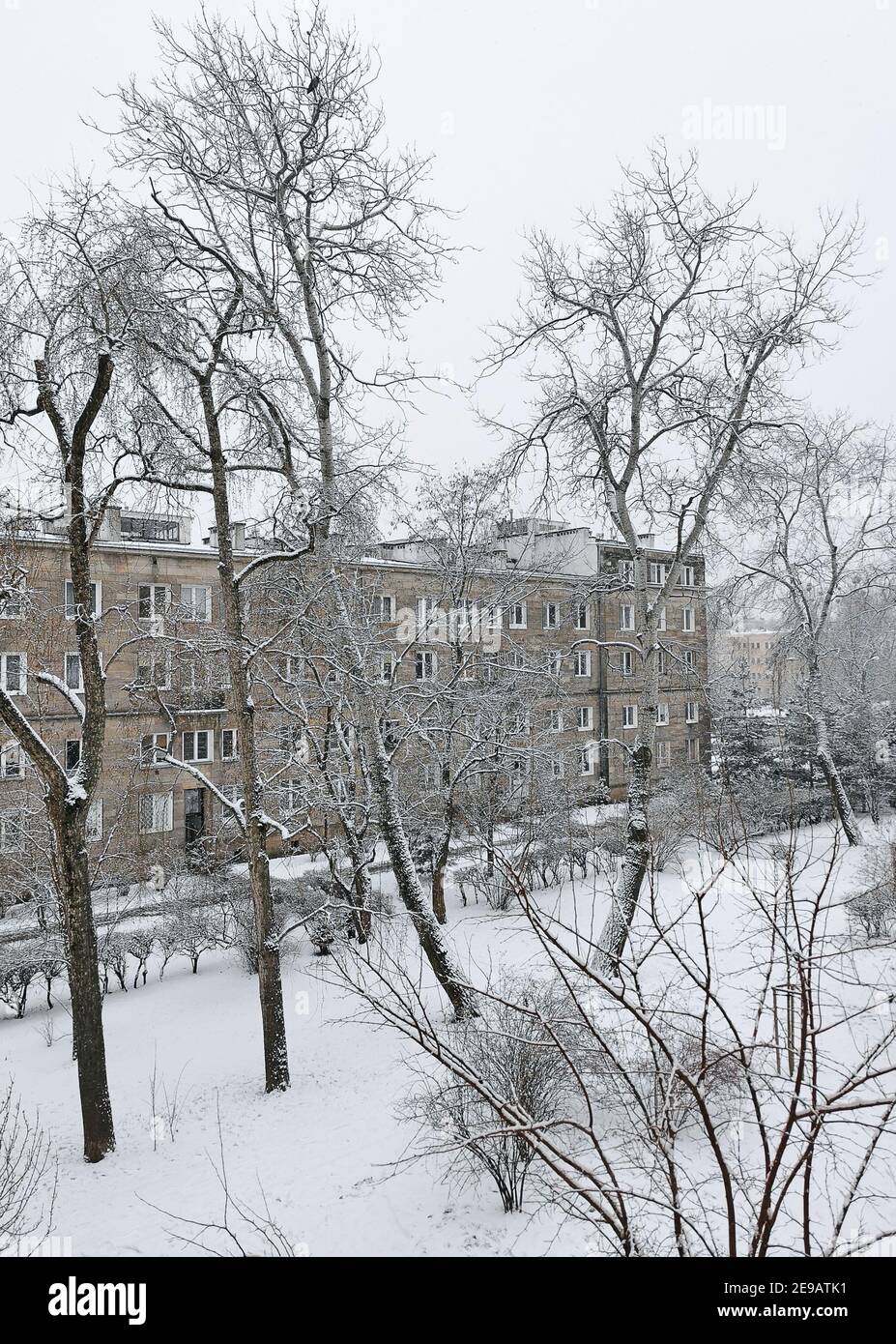 Panoramic shot christmas background hi-res stock photography and images ...