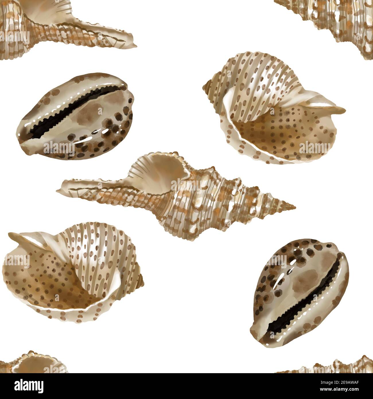 Pattern seashell on background. high quality watercolor illustration ...