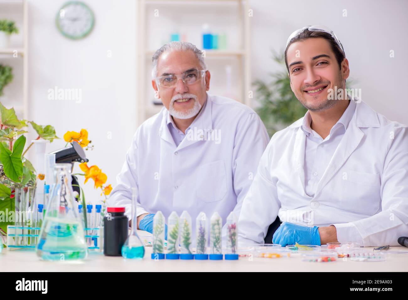 Two chemists working in the laboratory Stock Photo - Alamy