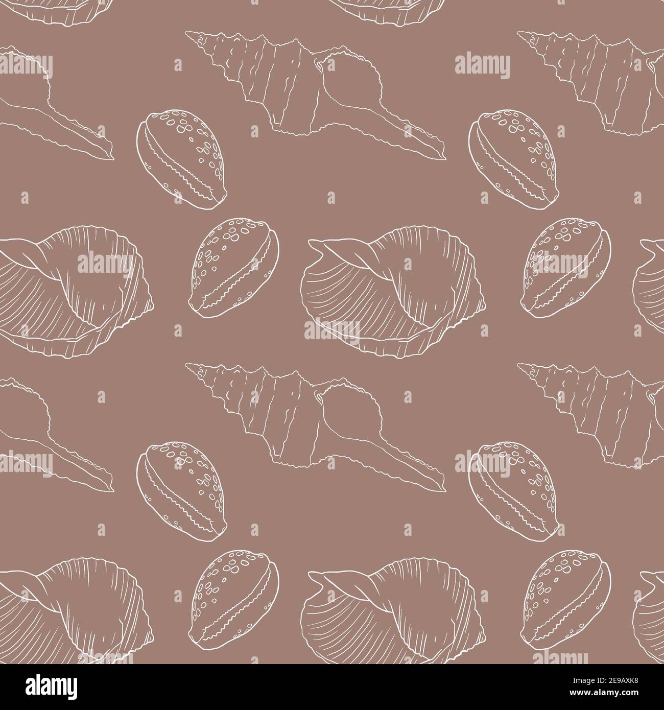 Pattern line seashell on background. high quality illustration. marine ...