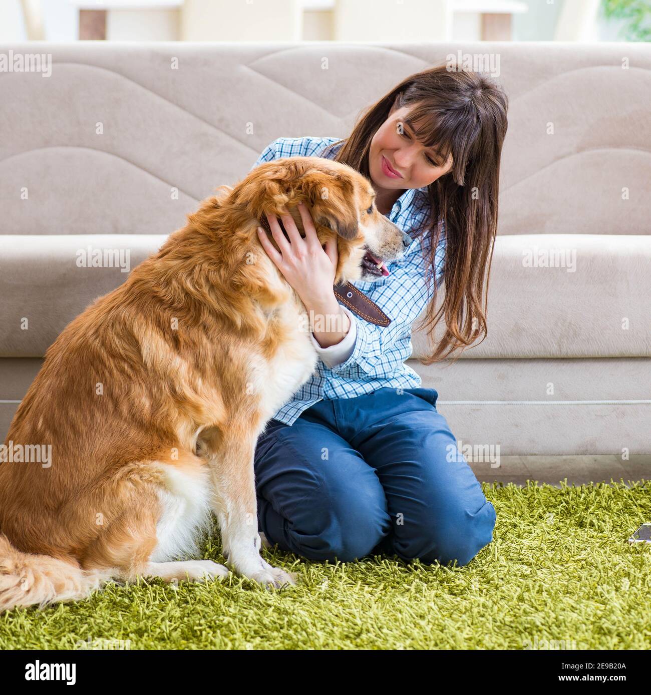The happy woman dog owner at home with golden retriever Stock Photo - Alamy
