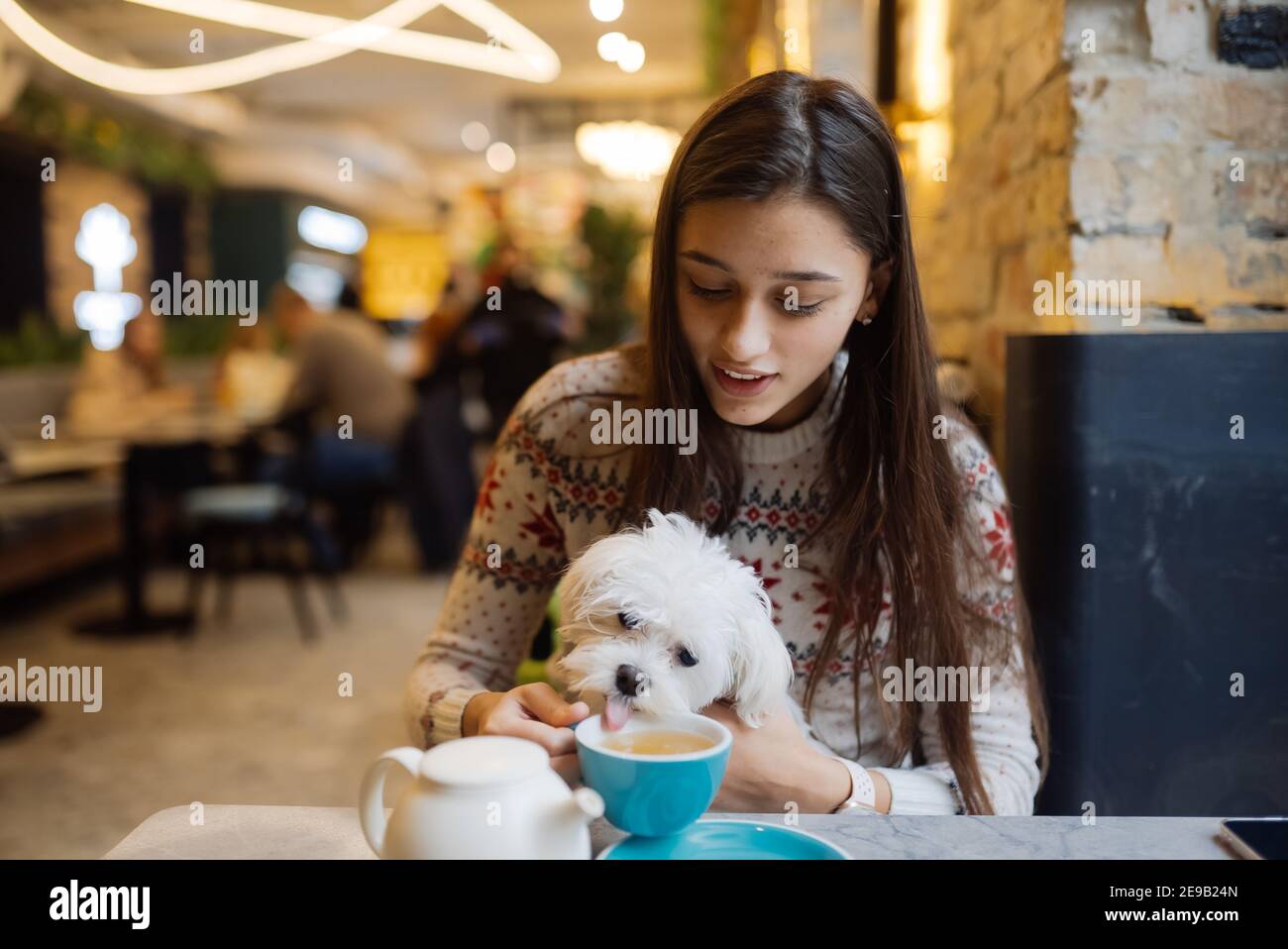 Beautiful woman is holding her cute dog, drinking coffee in cafe Stock ...