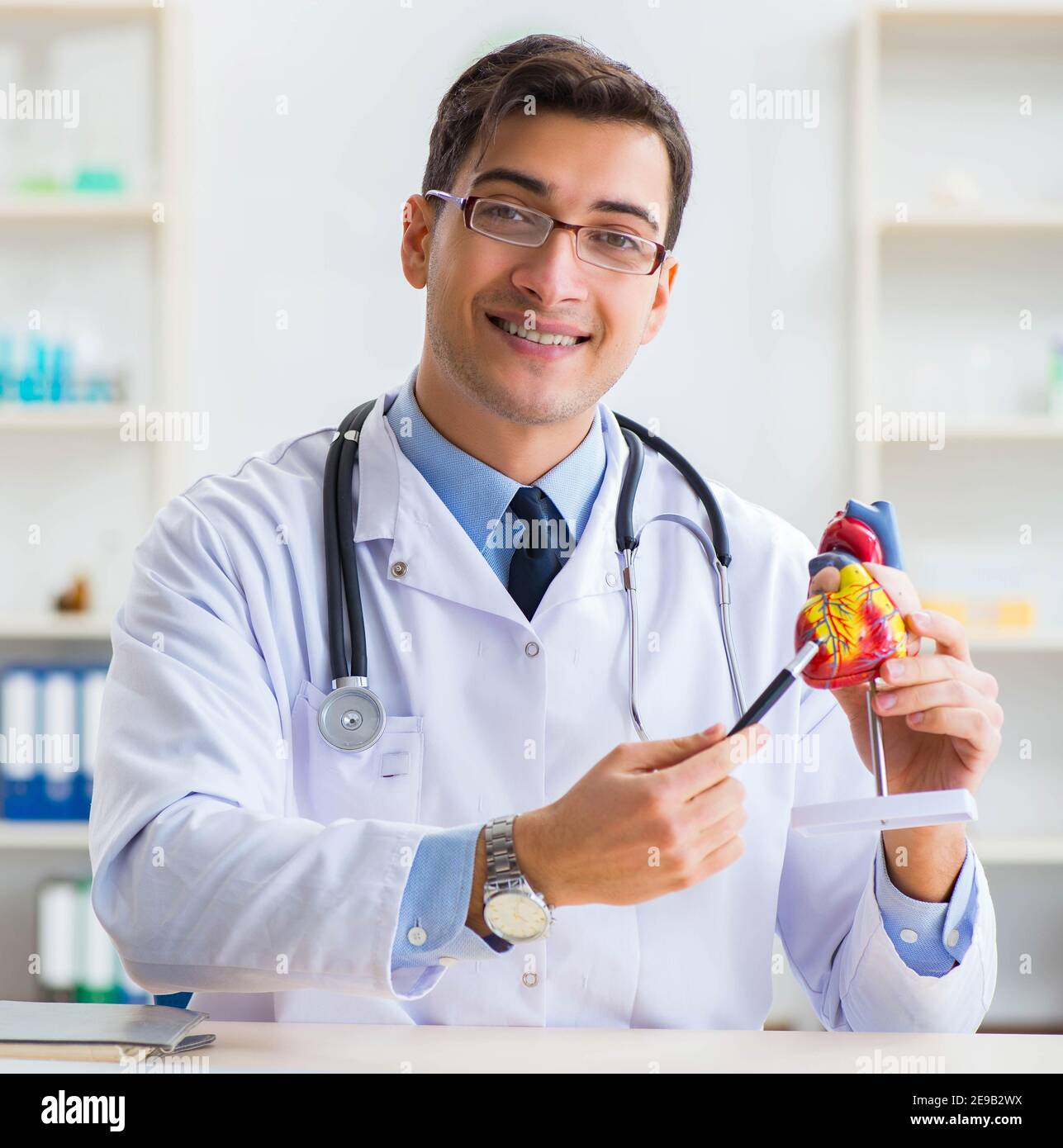 The doctor explaining the heart model Stock Photo - Alamy The doctor explaining the heart model Stock Photo - Alamy