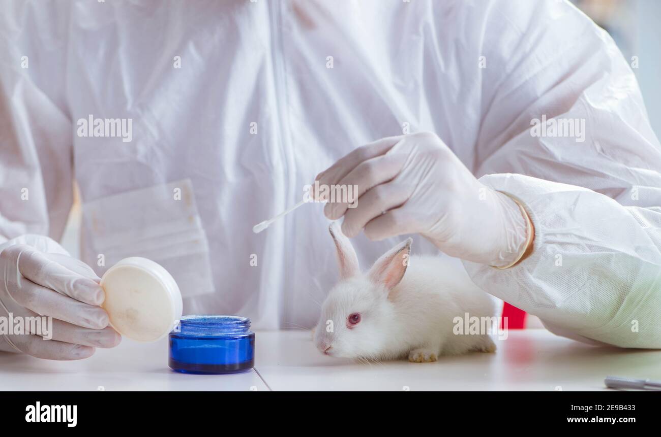 Rabbit cage lab hi-res stock photography and images - Alamy