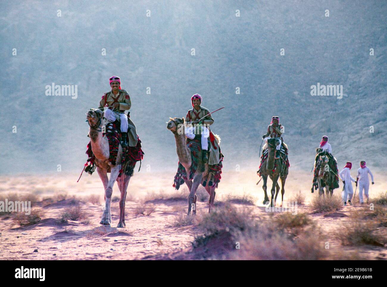 Mounted police riding camels Wadi Rum Jordan Stock Photo - Alamy