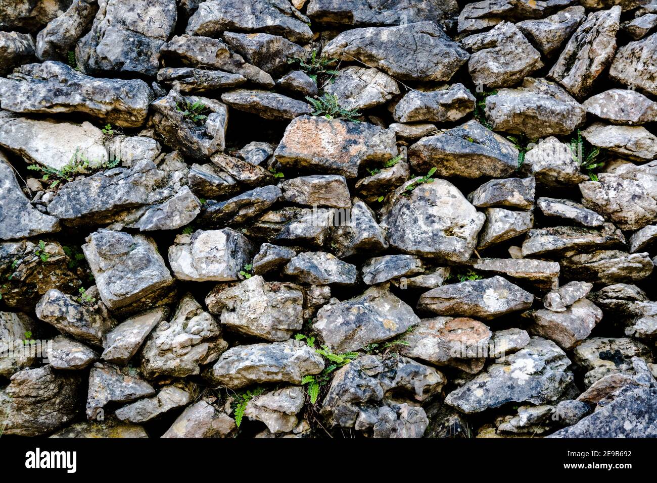 Traditional dry limestone wall constructed without cement, Island of Iz ...