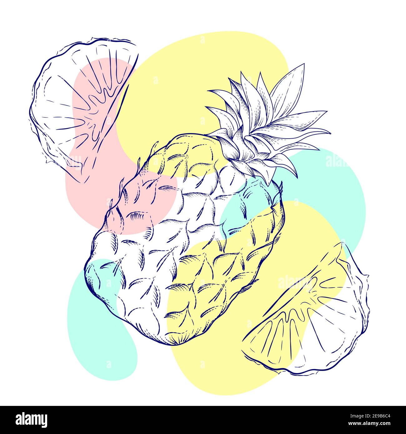 Sliced and whole ananas decorative element with color stains, engraving ...