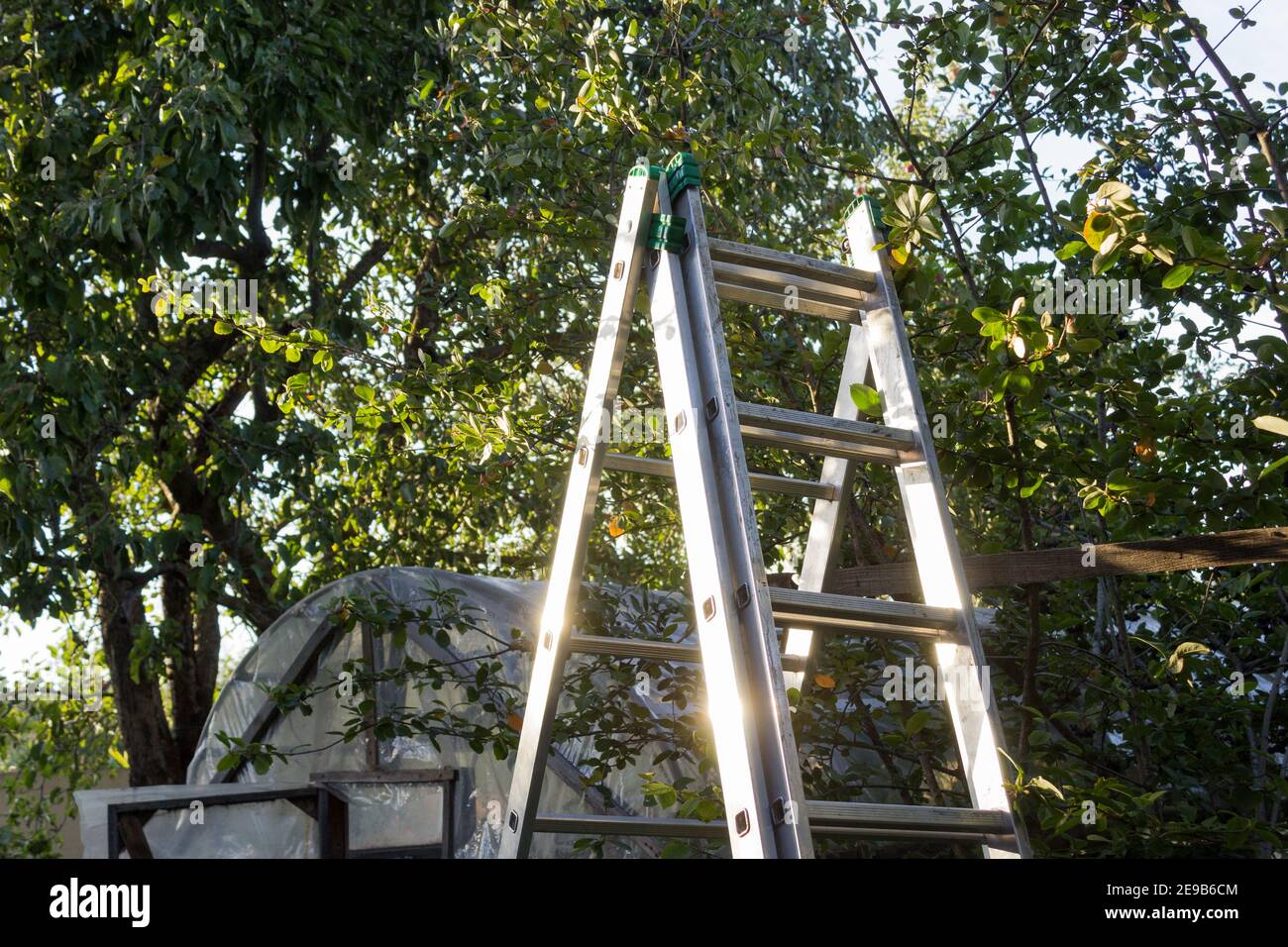 ladder in the garden, Gardening concept Stock Photo - Alamy