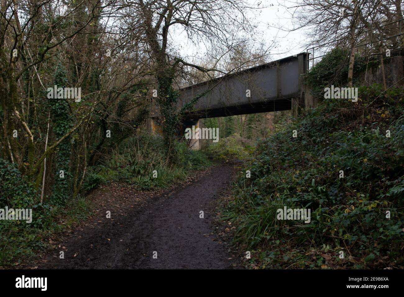 Vallis woods hi-res stock photography and images - Alamy