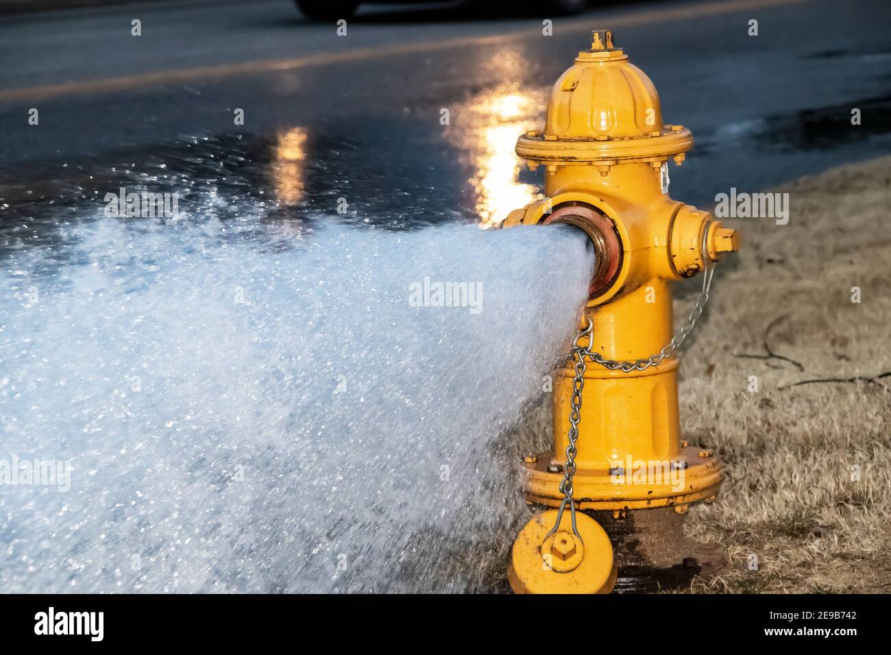 Close-up of yellow fire hydrant gushing water across a street with wet ...