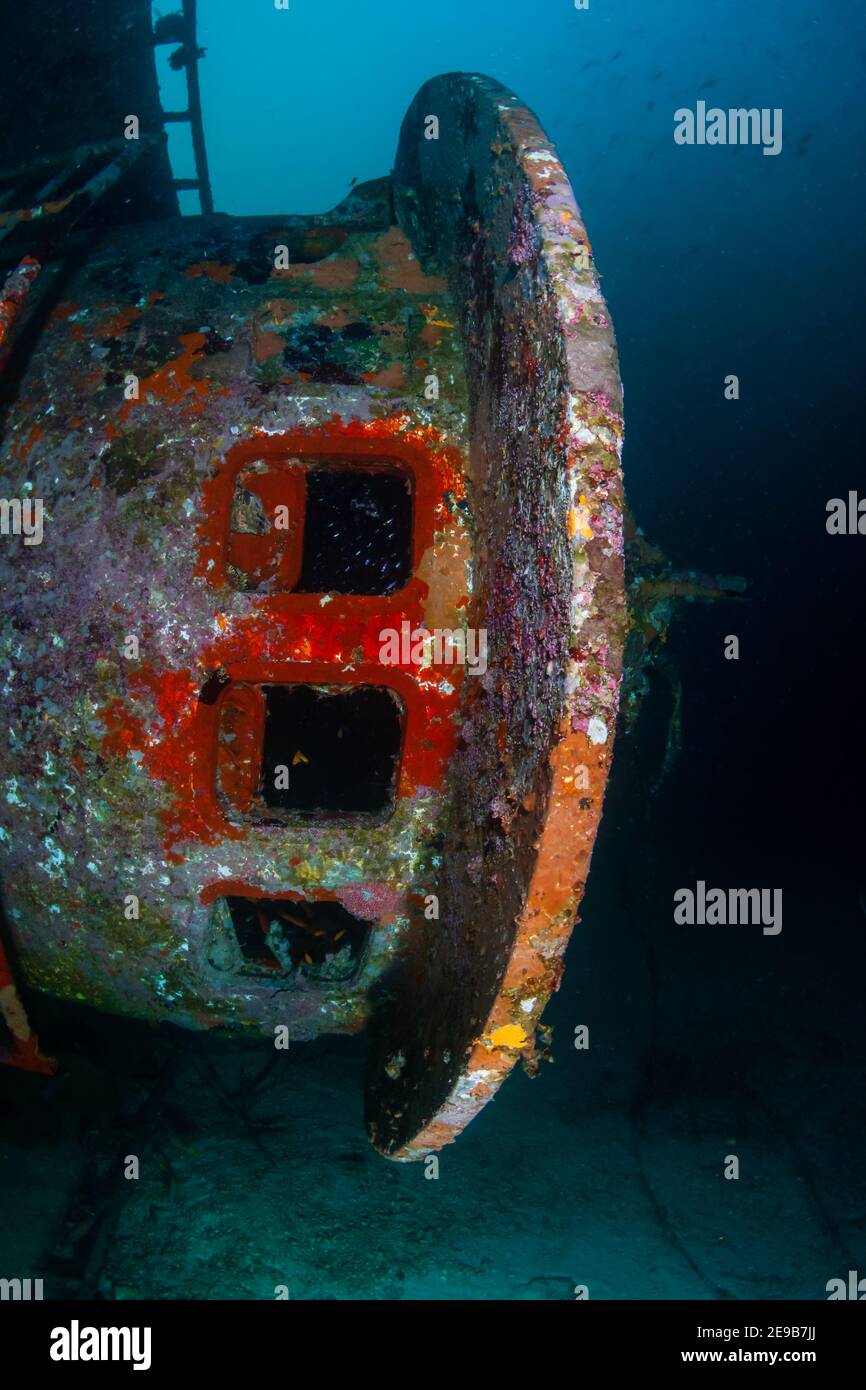 Coral encrusted shipwreck on sea hi-res stock photography and images ...