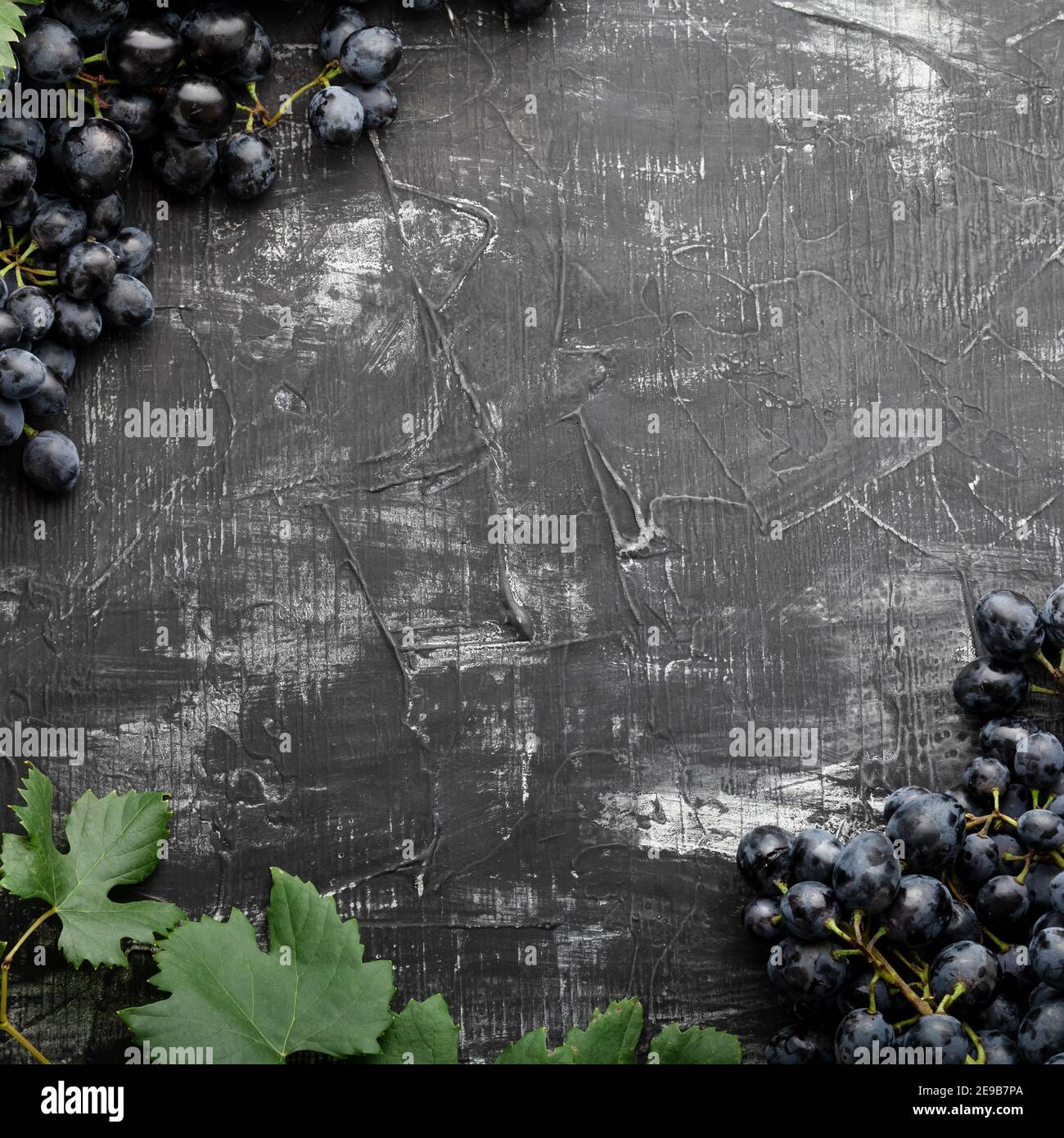 Black juicy grapes on vintage dark concrete background. Frame made of ...