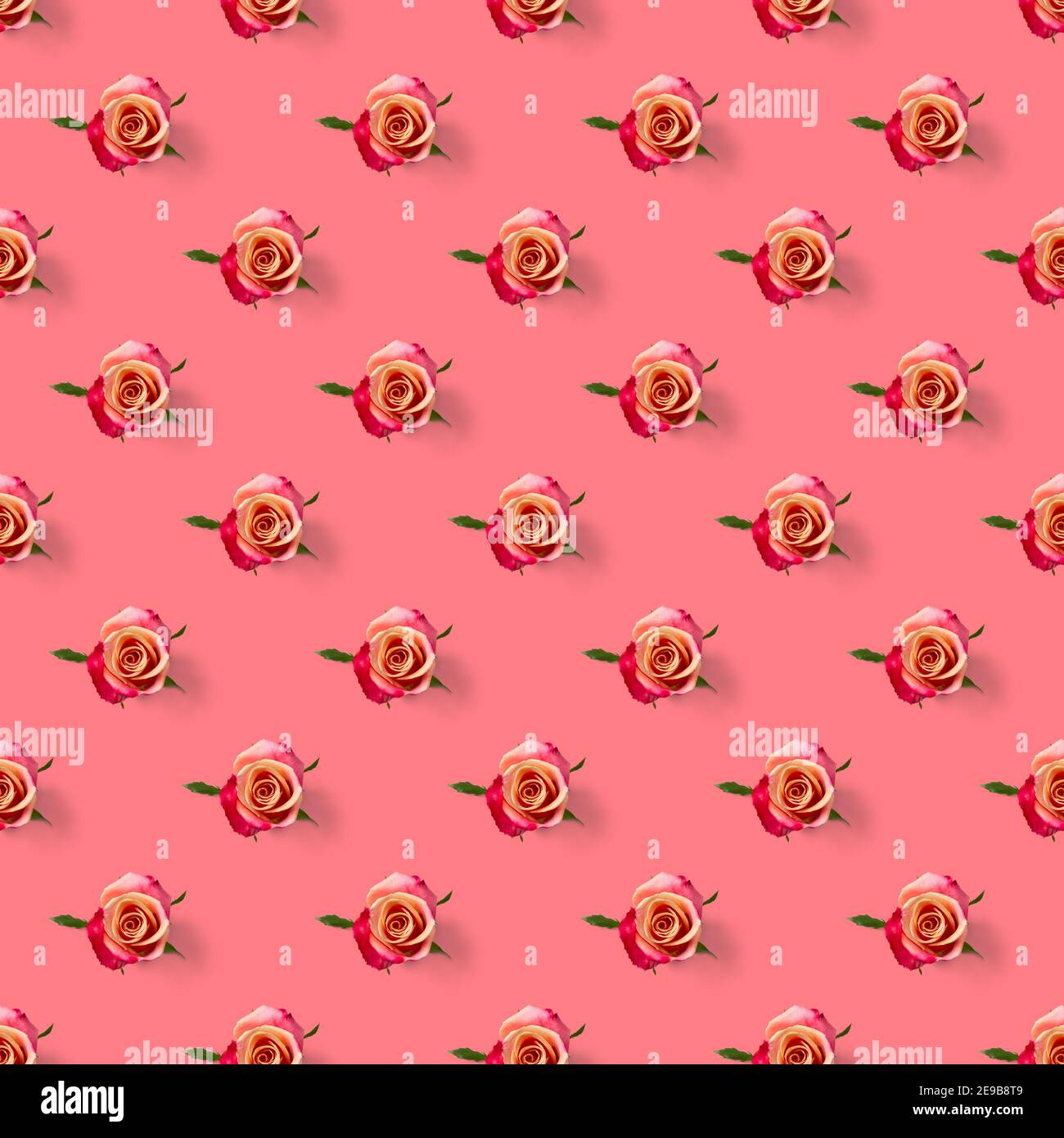 rosebud seamless pattern. head of rose bloom isolated on pink pattern ...