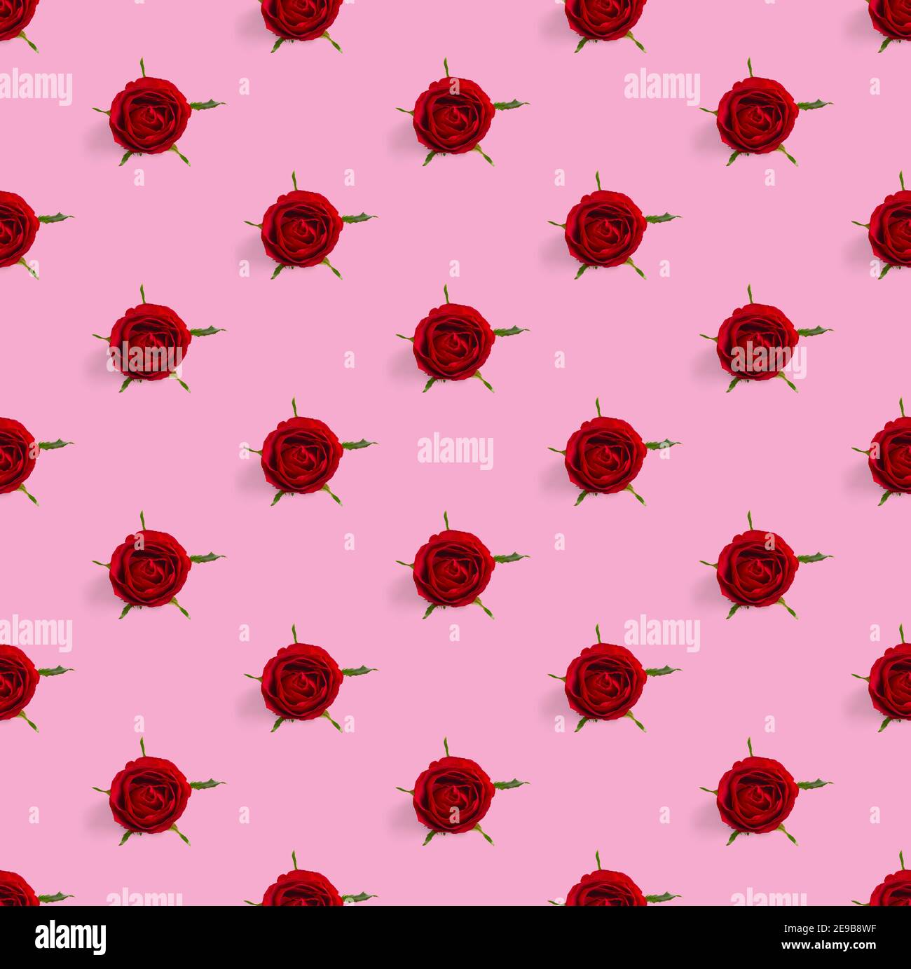 rosebud seamless pattern. head of rose bloom isolated on pink pattern ...