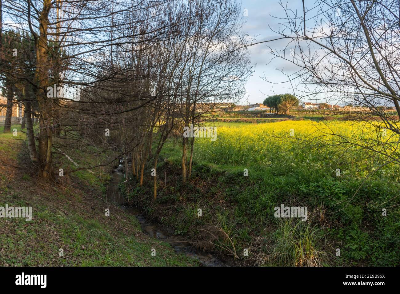 Nature and its contrasts of landscapes in autumn Stock Photo - Alamy