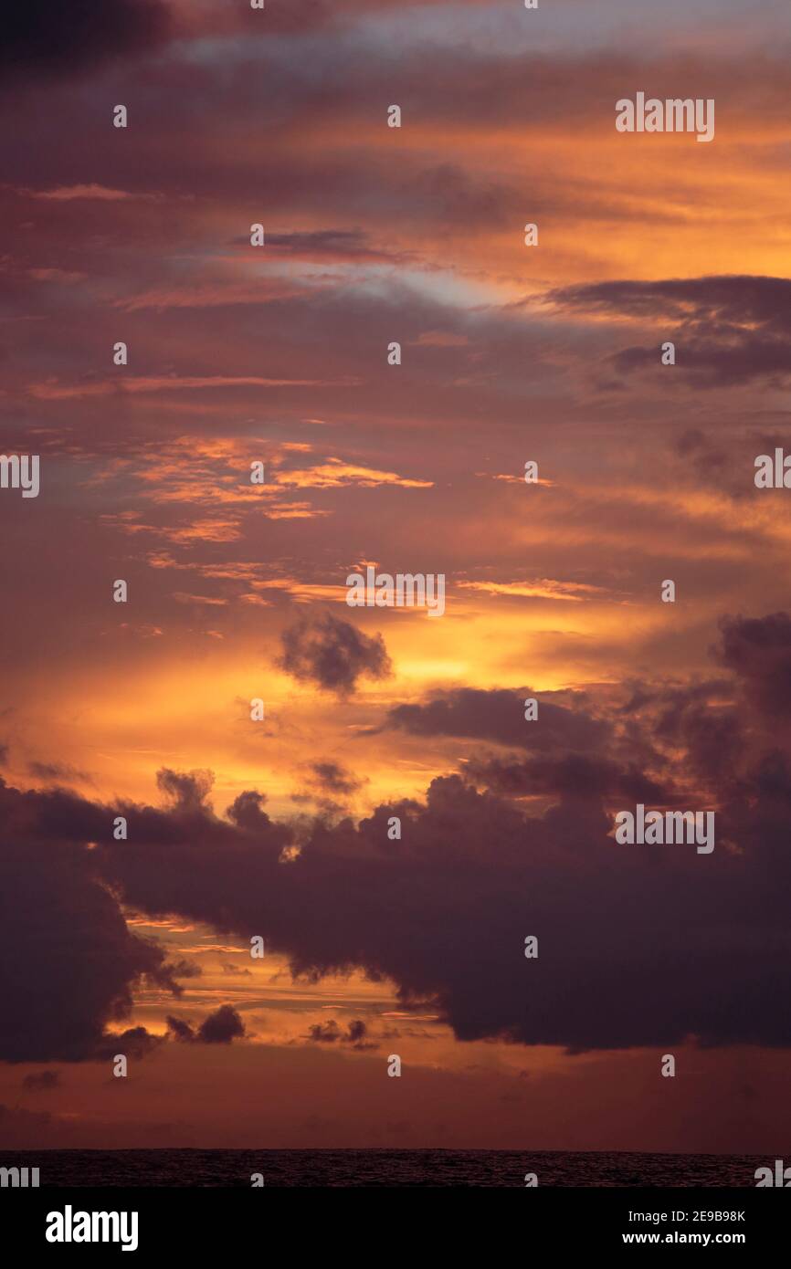 Georgia solomon hi-res stock photography and images - Alamy