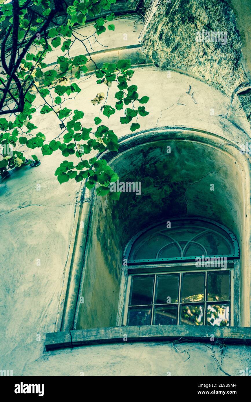Castle Bosiljevo, medieval castle owned by Frankopan family and now in ...