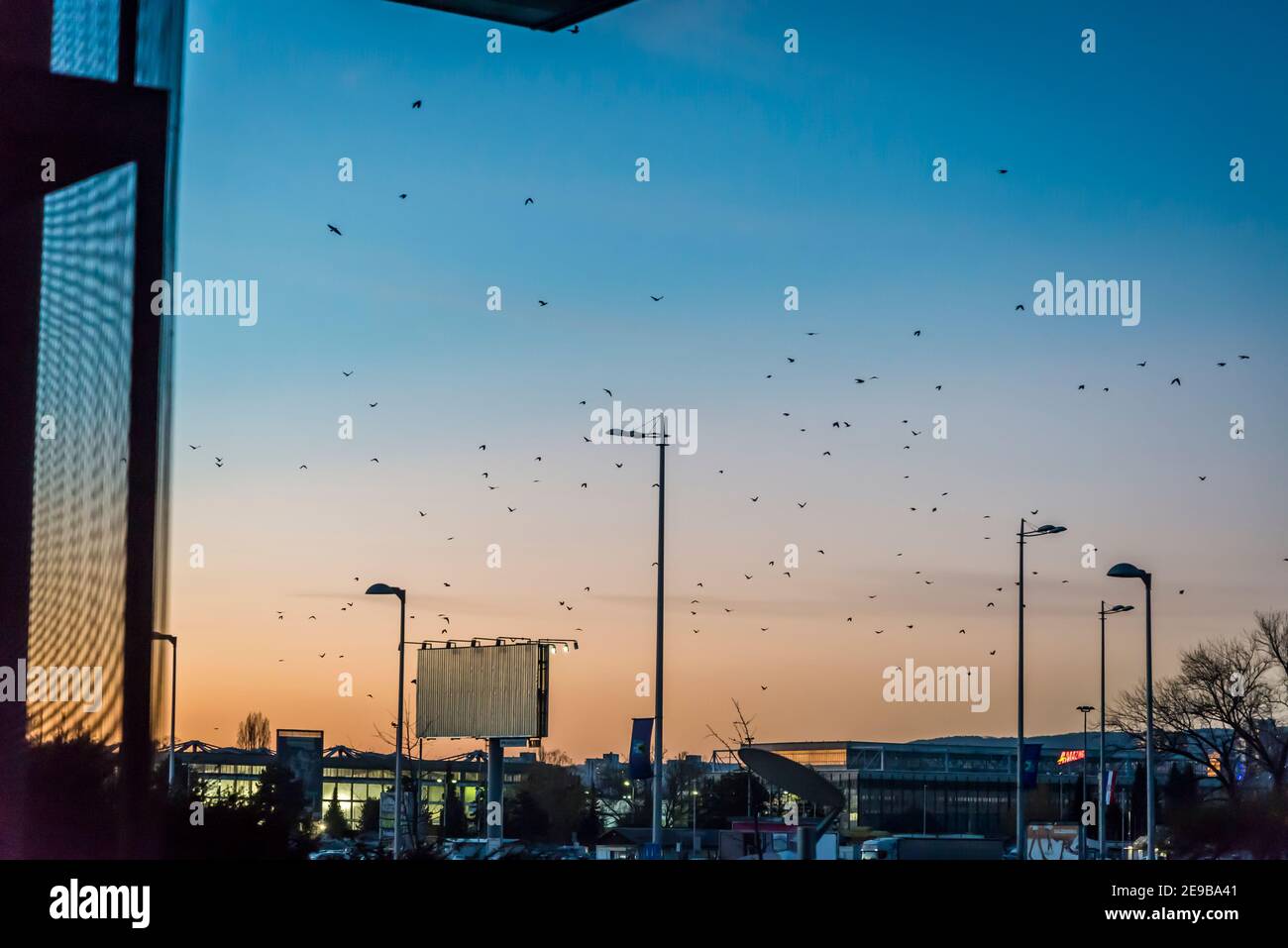 Birds flying at dusk hi-res stock photography and images - Alamy