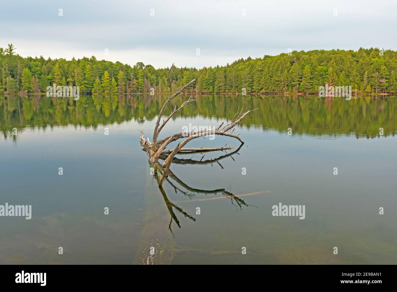 Clear and Calm Waters in the North Woods on High Lake in the Sylvania ...